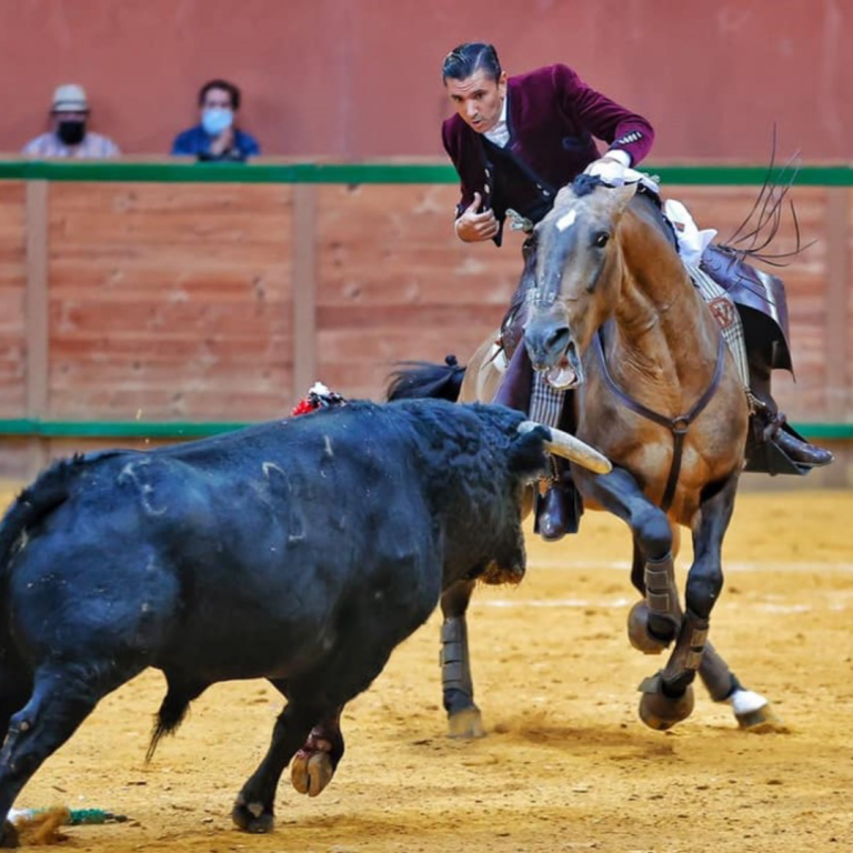 Banderillas Toros Reglamentarias - Tauroinnova
