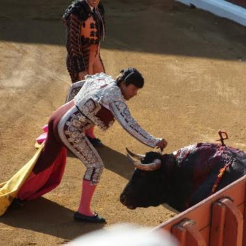 Banderillas Toros Reglamentarias - Tauroinnova