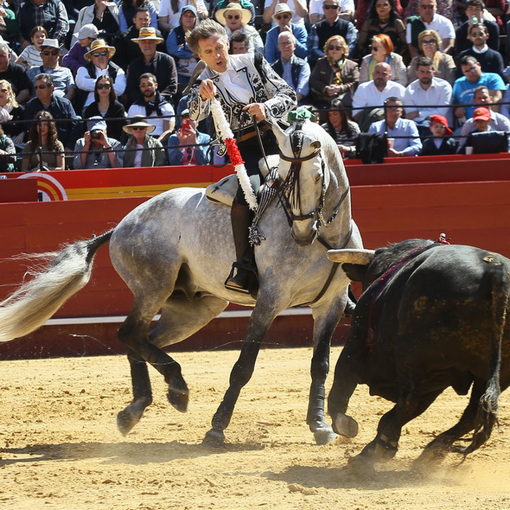 Útiles de Rejoneo - Tauroinnova