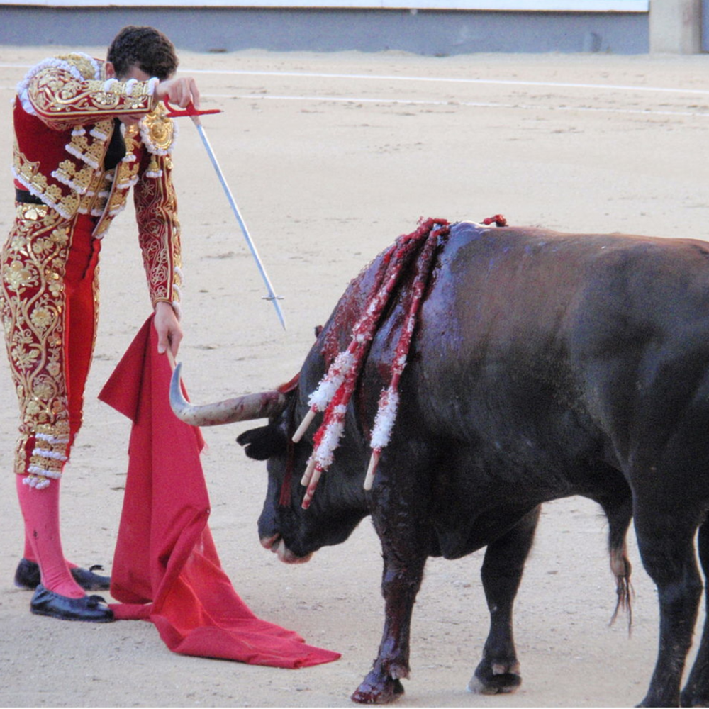 Banderillas Toros Reglamentarias - Tauroinnova